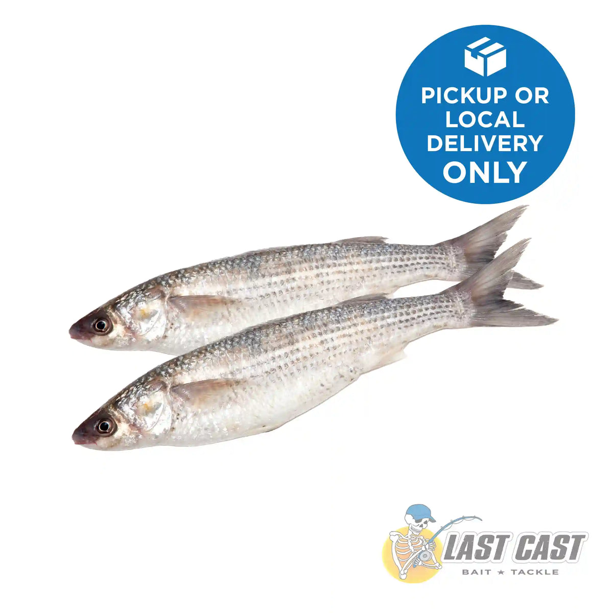 LAST CAST - WHOLE GREY MULLET BAIT FROZEN TWIN PACK — Last Cast Bait ...