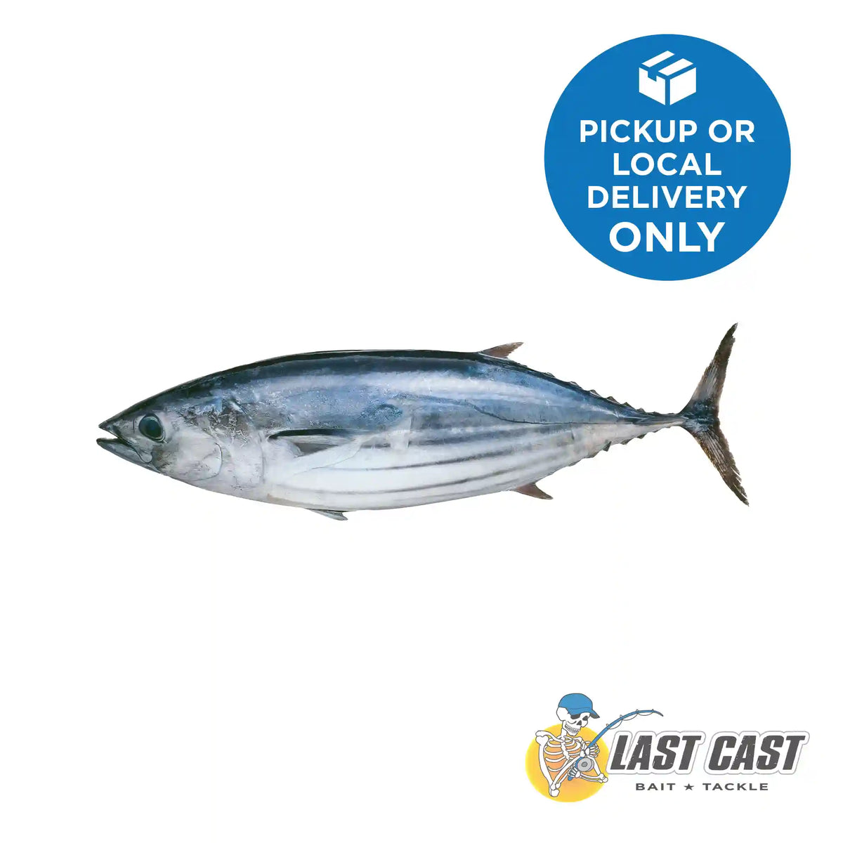 ADDICTION OUTDOORS - SKIPJACK WHOLE TUNA/BONITO BAIT FROZEN — Last Cast ...